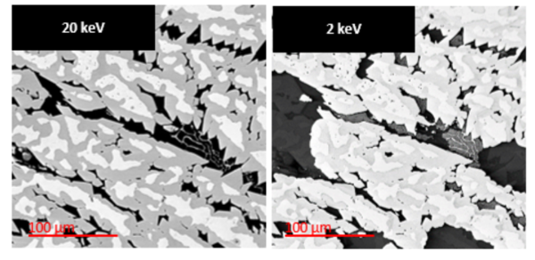 标准背散射探测器