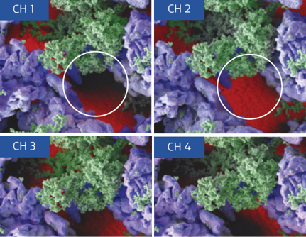 用于 XRF，XRD，和 EDX 的多通道 SDD 光谱仪