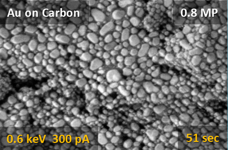 Switchable Gain Advanced BSD